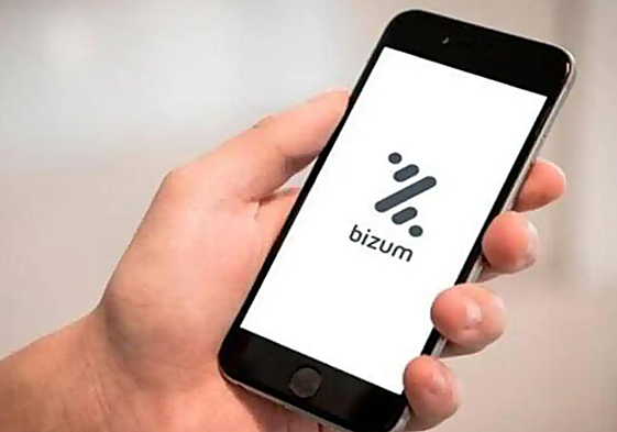 Guía rápida para pagar con Bizum las compras online | Las Provincias